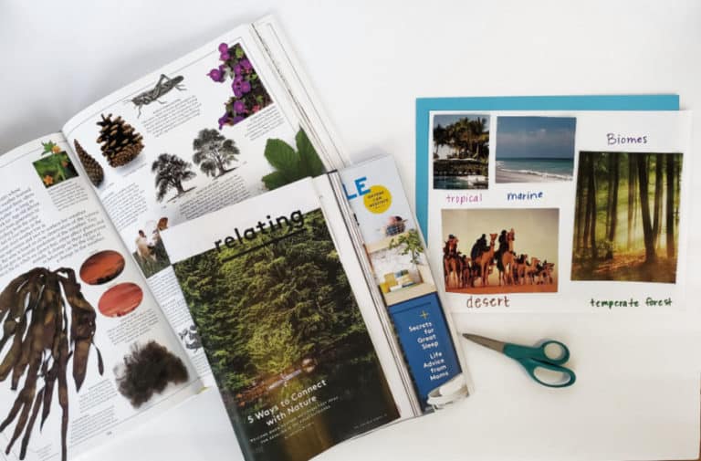 Making Vocabulary Photo Albums - Vocabulary Luau