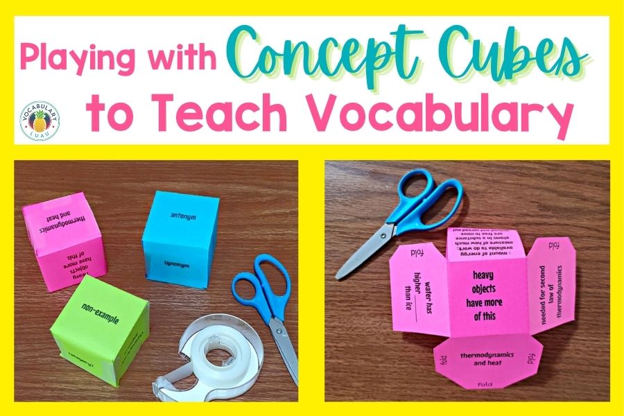 Playing with Concept Cubes to Teach Vocabulary - Vocabulary Luau