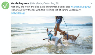 Ideas for Using Twitter to Teach Vocabulary - Vocabulary Luau